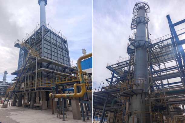 USED PLANTS – hicho